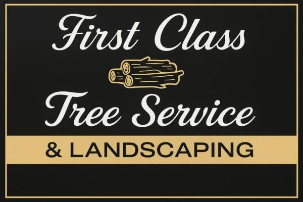 Tree Service South Jersey | First Class Tree Service & Landscaping